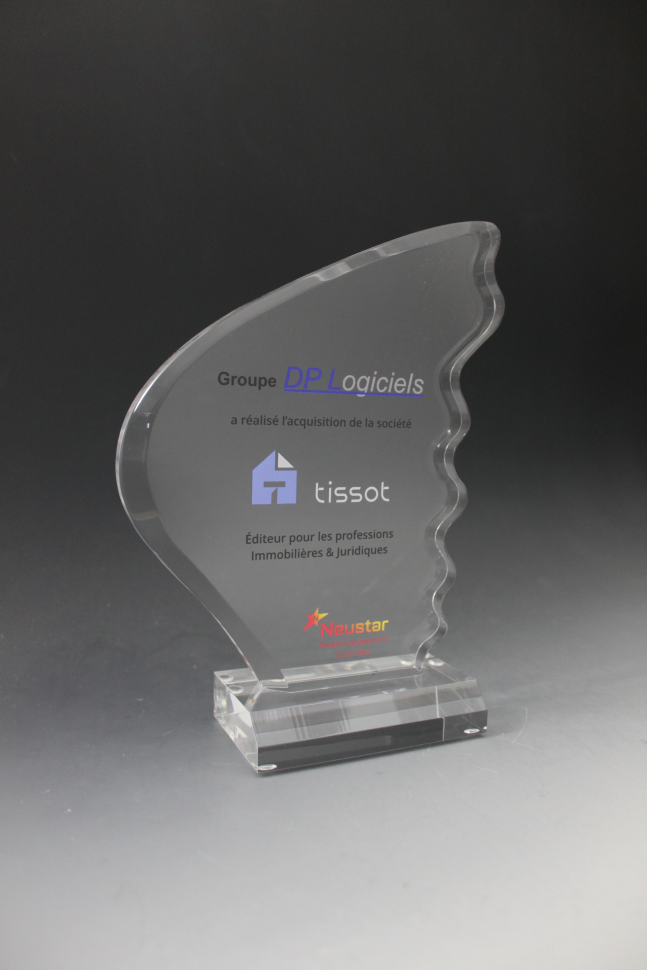 Trophée plexiglass aile PM Tryje-trophée