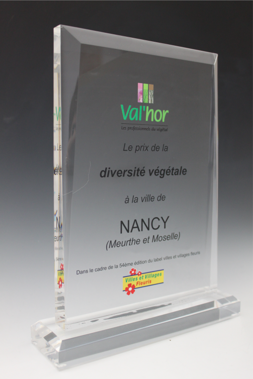 Trophée plexiglass rectangle Tryje-trophée